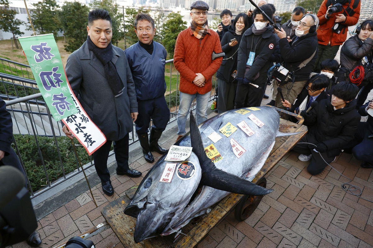 Tokyo Restaurant Sells Set Menu with Highest Priced Tuna for 10,000 Won ... Tokyo Restaurant Sells Set Menu with Highest Priced Tuna for 10,000 Won ...